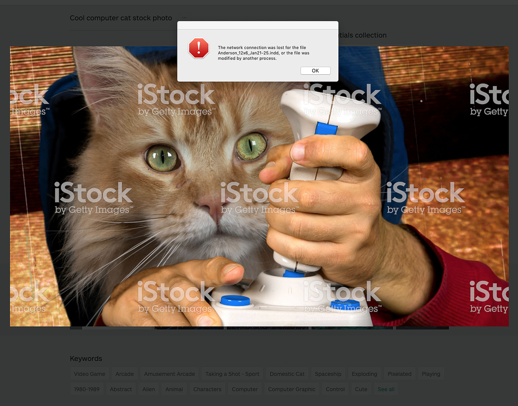 InDesign loses network connection on file then crashes - Graphic Design ...