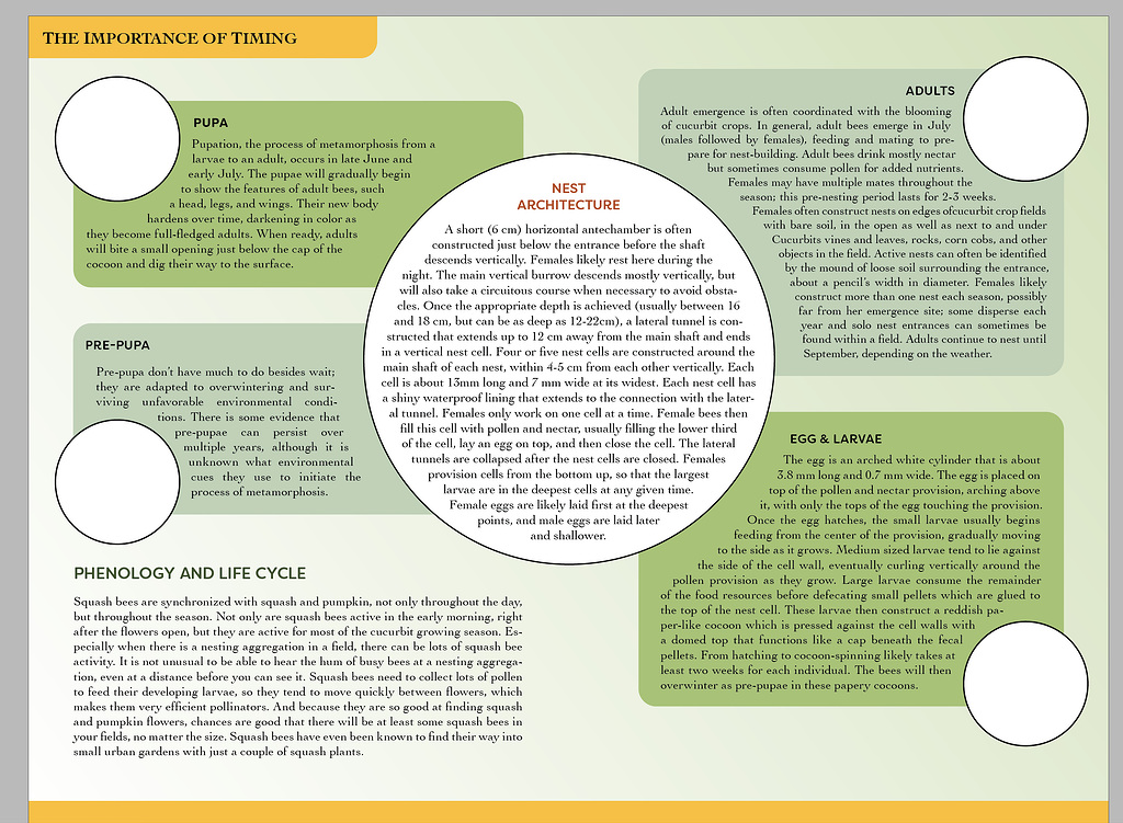 Need to ignore but not ignore Text Wrap - Software - Graphic Design Forum