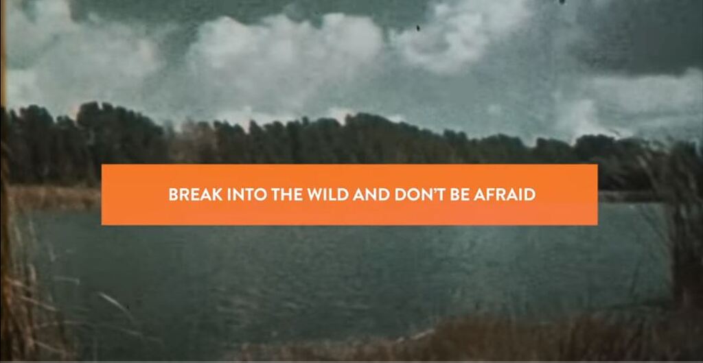 Lyric video graphics - Motion Graphics - Graphic Design Forum